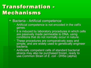 Transformations of cells | PPT | Biological Sciences | Science