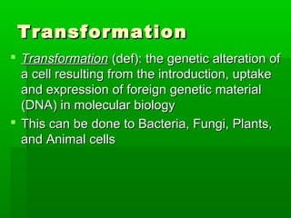 Cells Transformations
