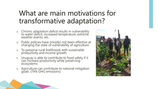 Transformative Adaptation in Agriculture – Uruguay | PPTX