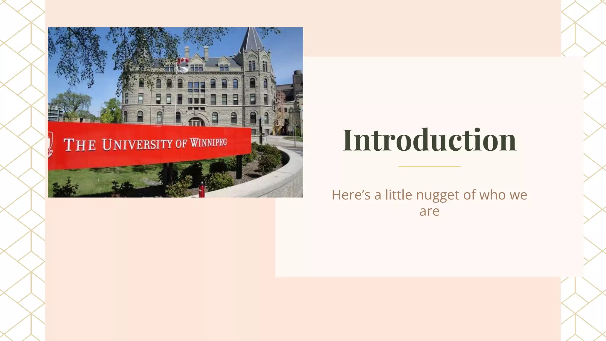 Transformative Justice.pptx