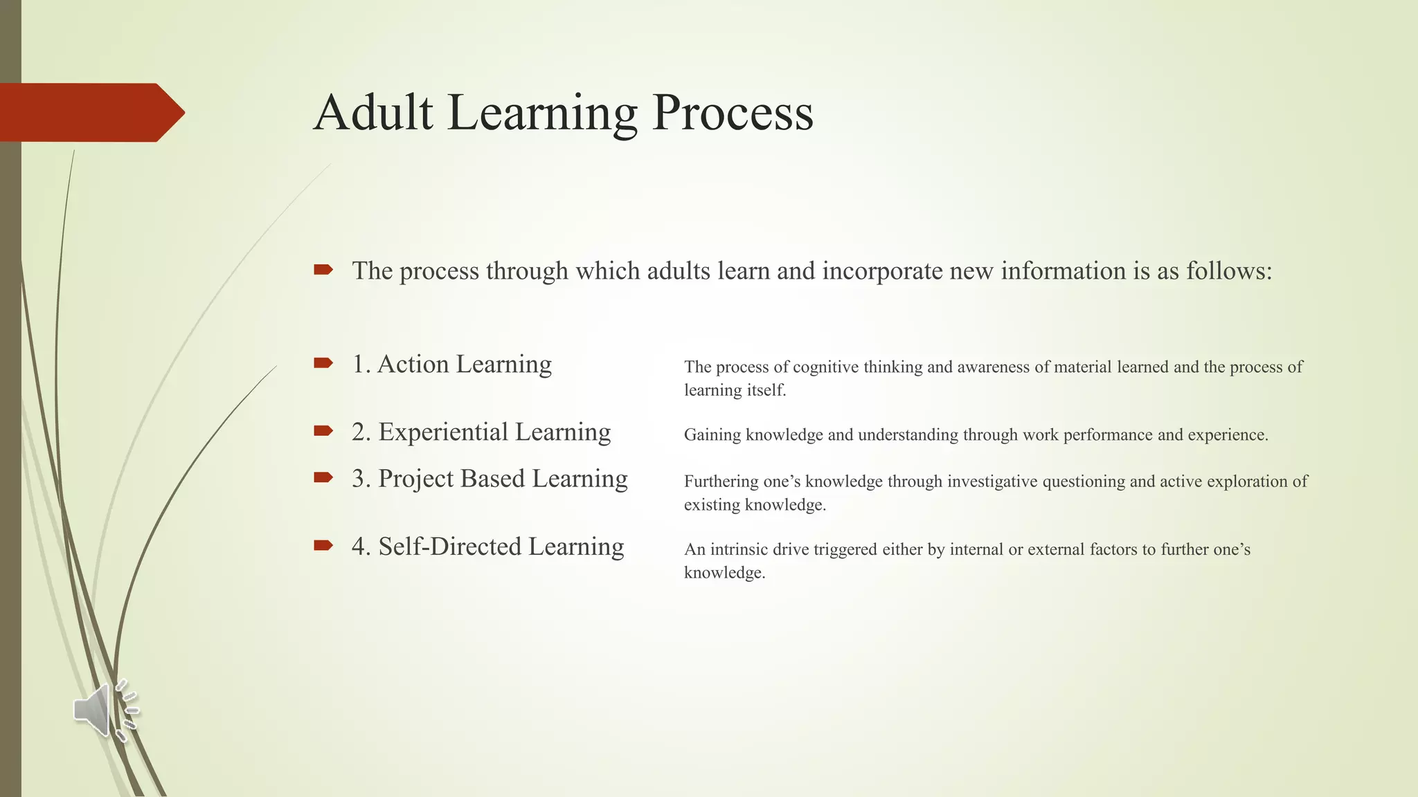 Transformative learning powerpoint (4.1) | PPTX