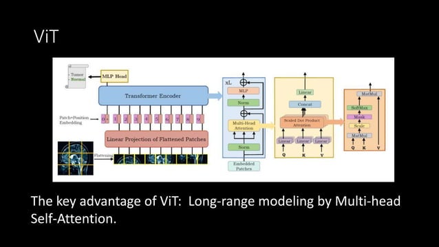 Transformer in Medical Imaging A brief review | PPT
