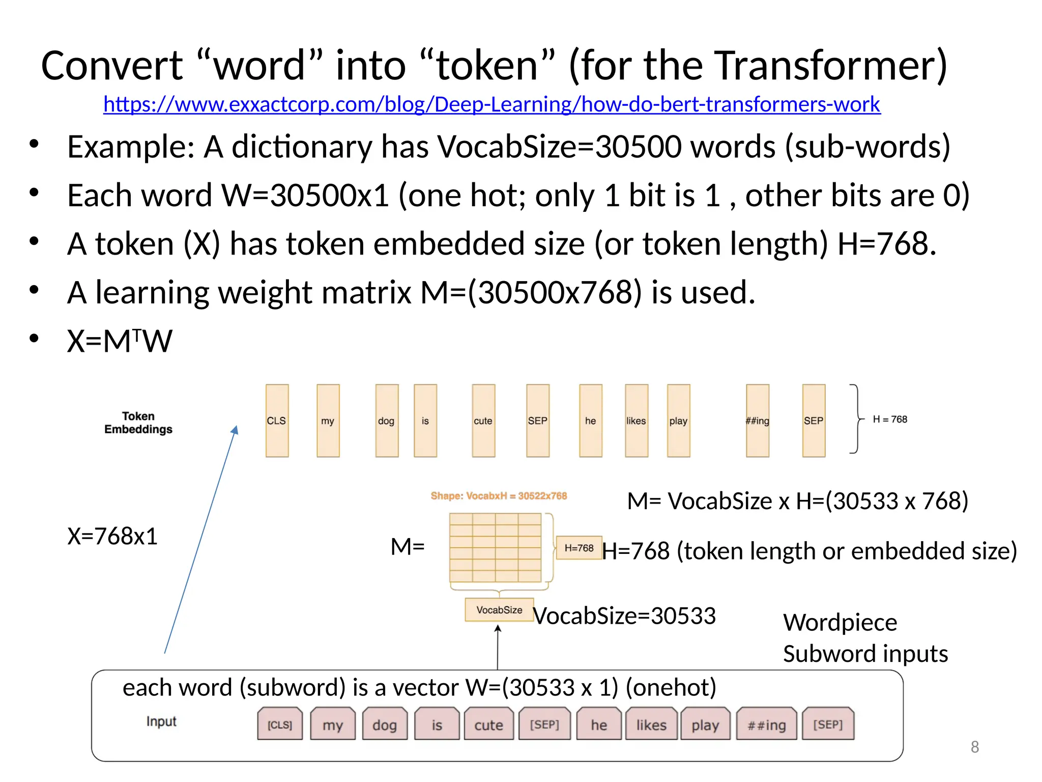 transformers as a tool for understanding advance algorithms in deep ...