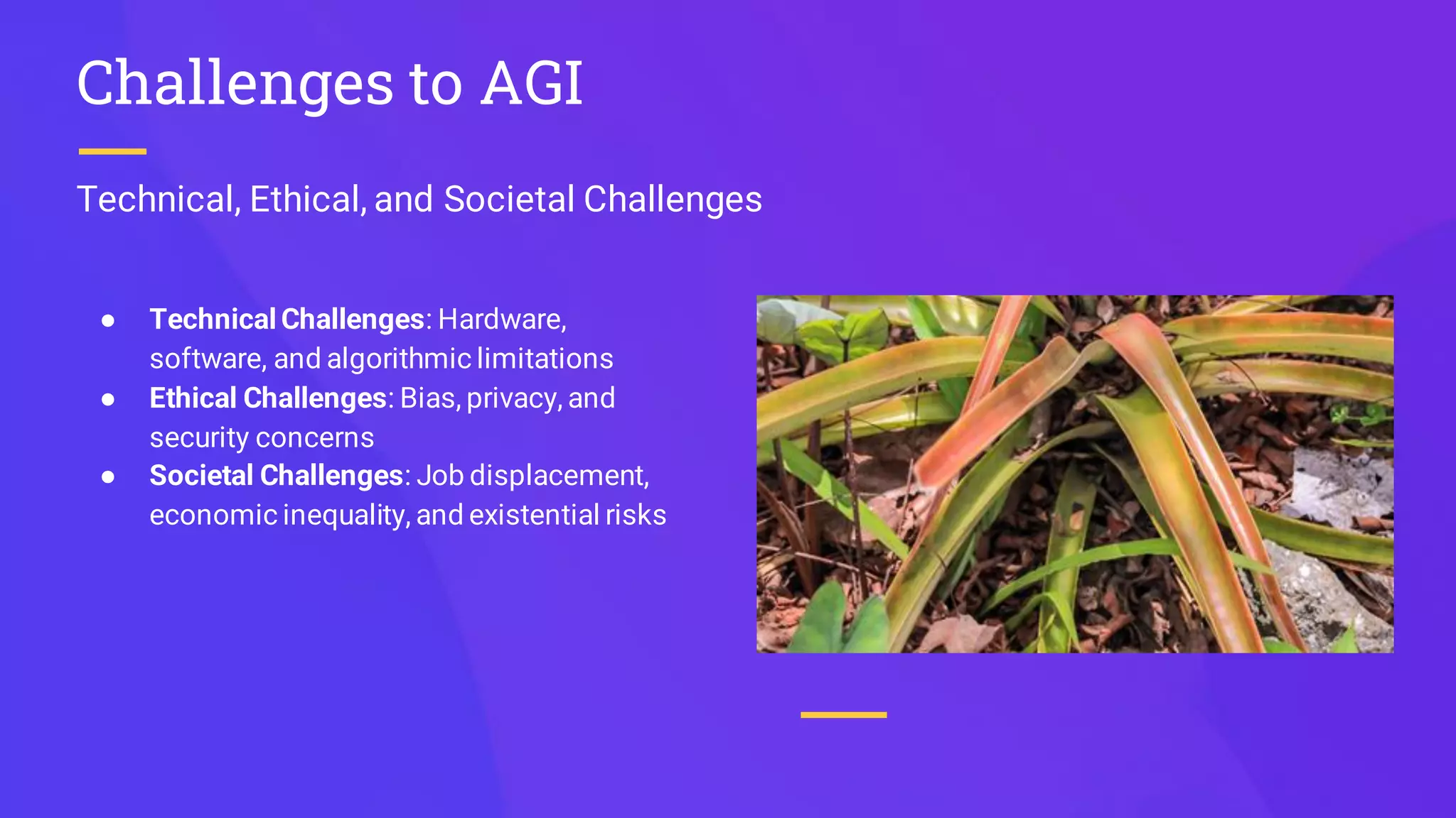 Transformers, LLMs, and the Possibility of AGI | PDF