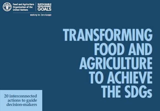 Transforming food and agri to achieve sdg en | PPT