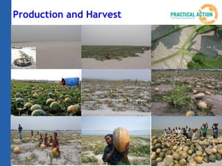 Transforming lands transforming lives practical action bangladesh | PDF