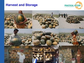 Transforming lands transforming lives practical action bangladesh | PDF