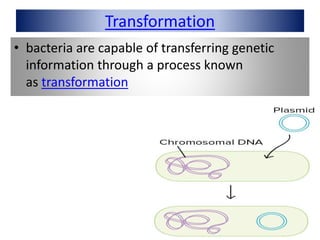 Transforming principle by Griffith | PPTX