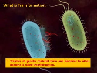 Transforming principle.. | PPTX