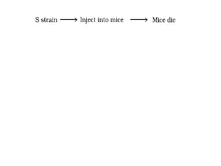 Transforming principle.. | PPTX