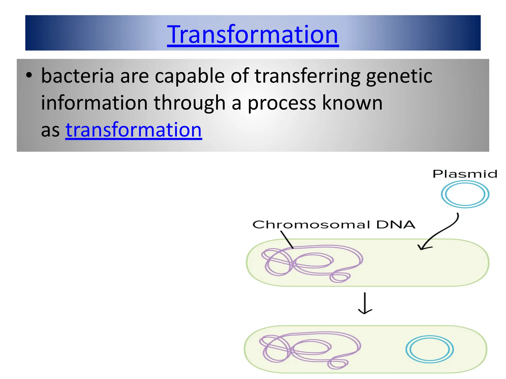 Transforming principle .pptx.presentation | PDF