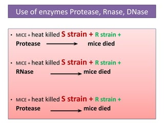 Transforming principle .pptx.presentation | PDF | Genetics | Science