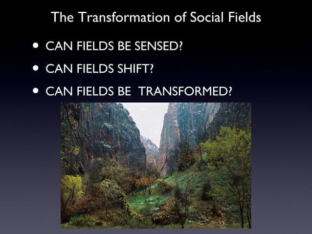 Transforming Social Fields | PPT | College Education | Education