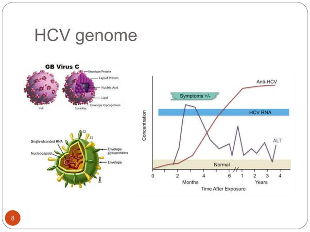 Transfusion associated hepatitis | PPT