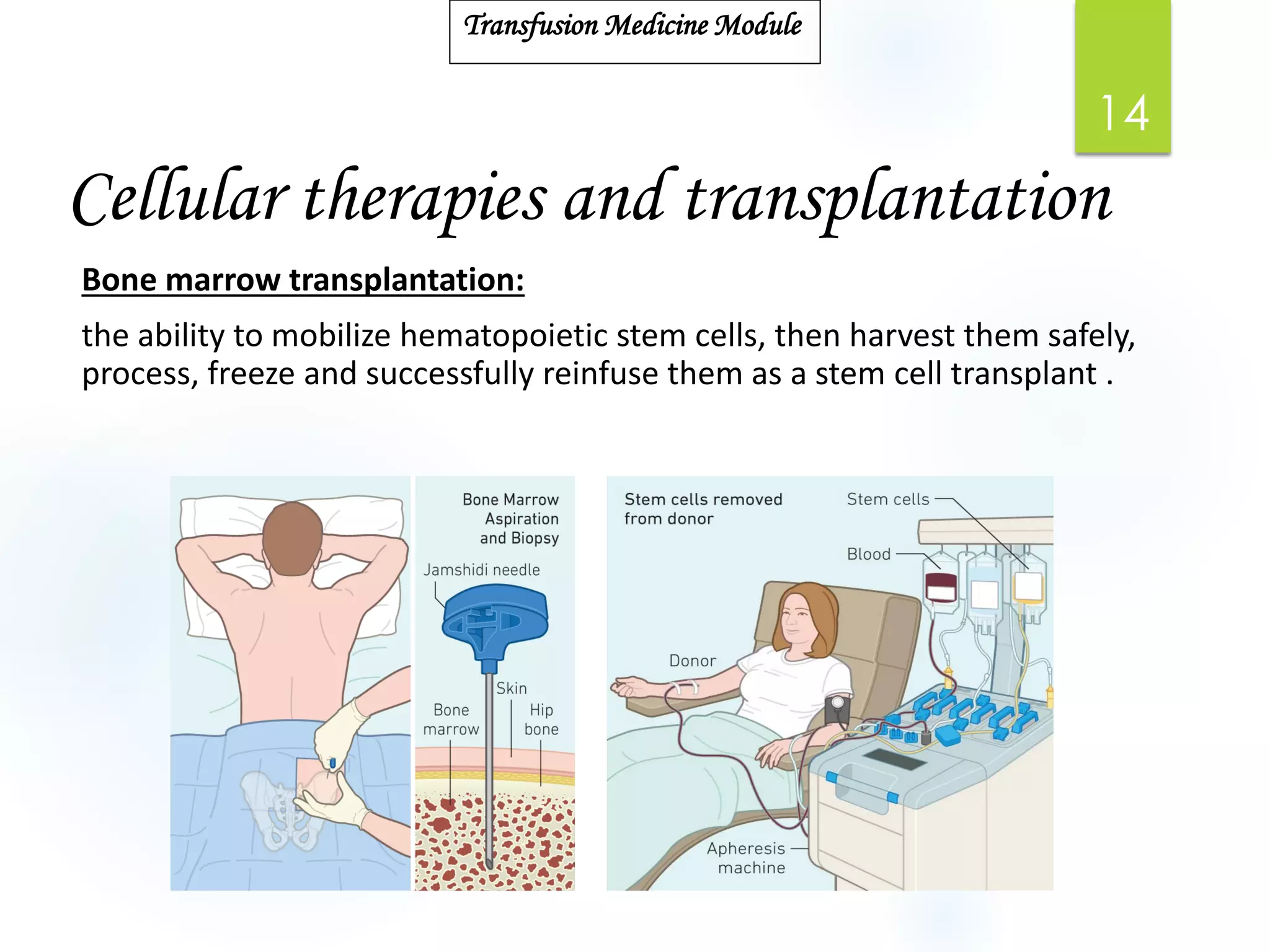 Transfusion Module - lecture 1 - introduction.pdf