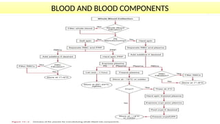 Transfusion of Blood Components – A Guide for Nursing Faculty.pptx