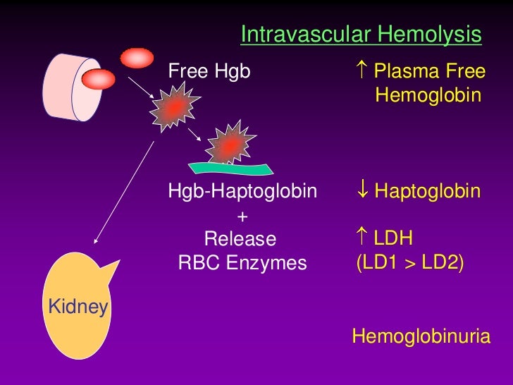 Transfusion Reactions Evaluation & Management