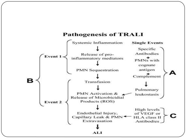 Transfusion related acute lung injury