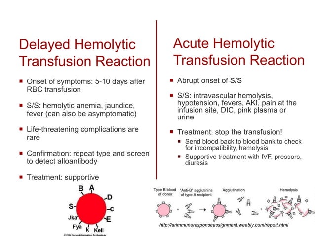 Transfusion Reaction | PPT