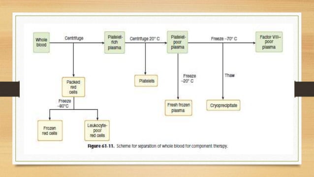 Transfusion and blood component therapy | PPT