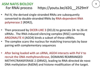Trans gene and transposone silencing ppt. | PPTX