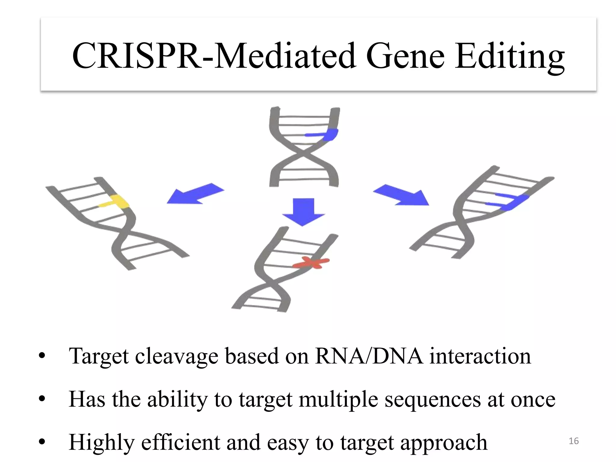 Transgene Free Genome Editing | PPT