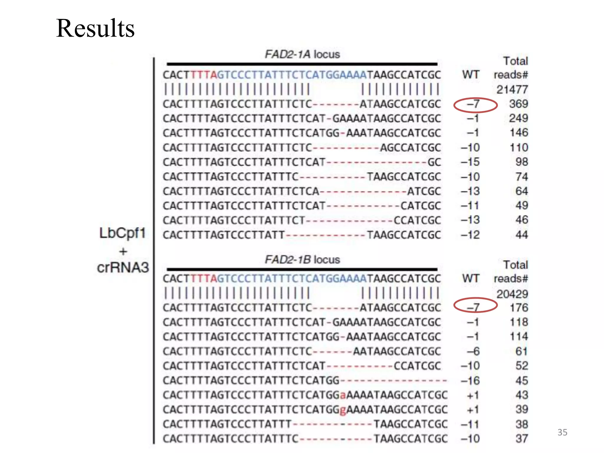 Transgene Free Genome Editing | PPT
