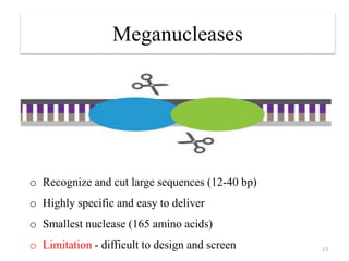 Transgene Free Genome Editing | PPT