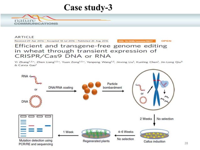 Transgene Free Genome Editing | PPT