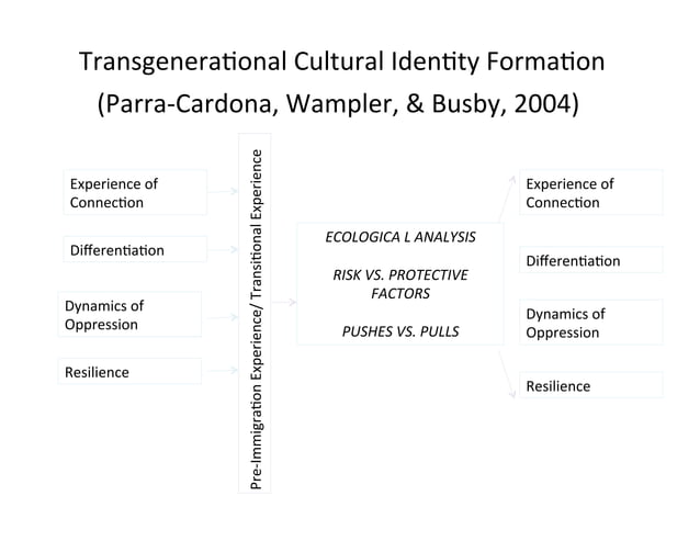 Transgenerational Cultural Identity Formation (Parra-Cardona, 2013) | PDF