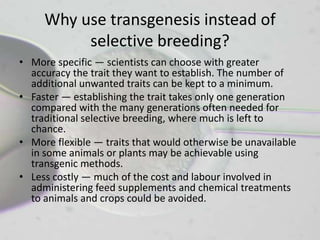 Transgenesis | PPTX