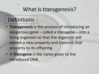 Transgenesis | PPT