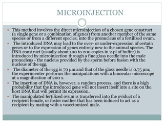TRANSGENIC TECHNIQUES AND GENE THERAPY | PPT