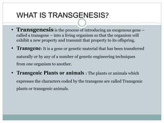 TRANSGENIC TECHNIQUES AND GENE THERAPY | PPT