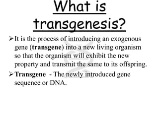 Transgenesis | PPTX