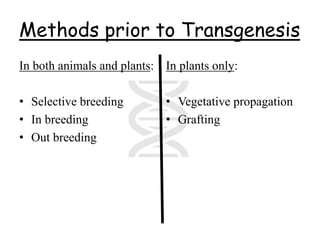Transgenesis | PPTX