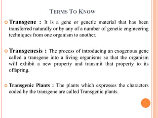 Tarns-genesis and development of transgenic plant | PPTX
