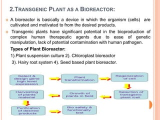 Tarns-genesis and development of transgenic plant | PPTX