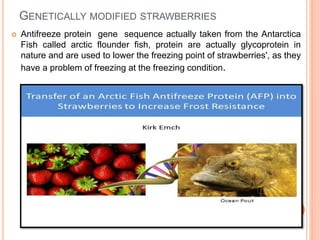 Tarns-genesis and development of transgenic plant | PPTX