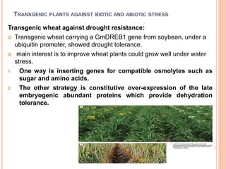 Tarns-genesis and development of transgenic plant | PPTX