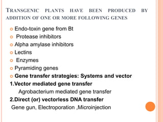 Tarns-genesis and development of transgenic plant | PPTX