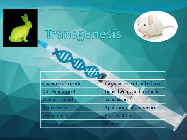 Transgenesis | PPTX | Biotech and Biomedical Industry | Industries