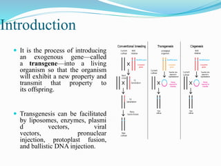 Transgenesis | PPTX