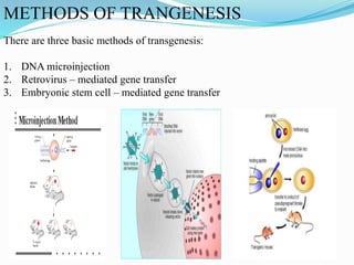 Transgenesis | PPTX