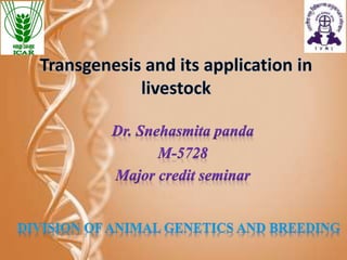Transgenesis in animal | PPT
