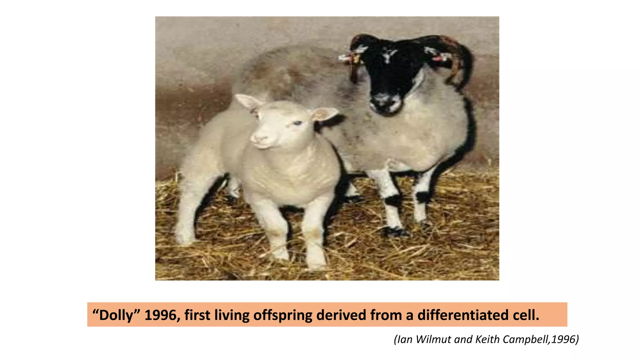 Transgenesis in animals | PPTX