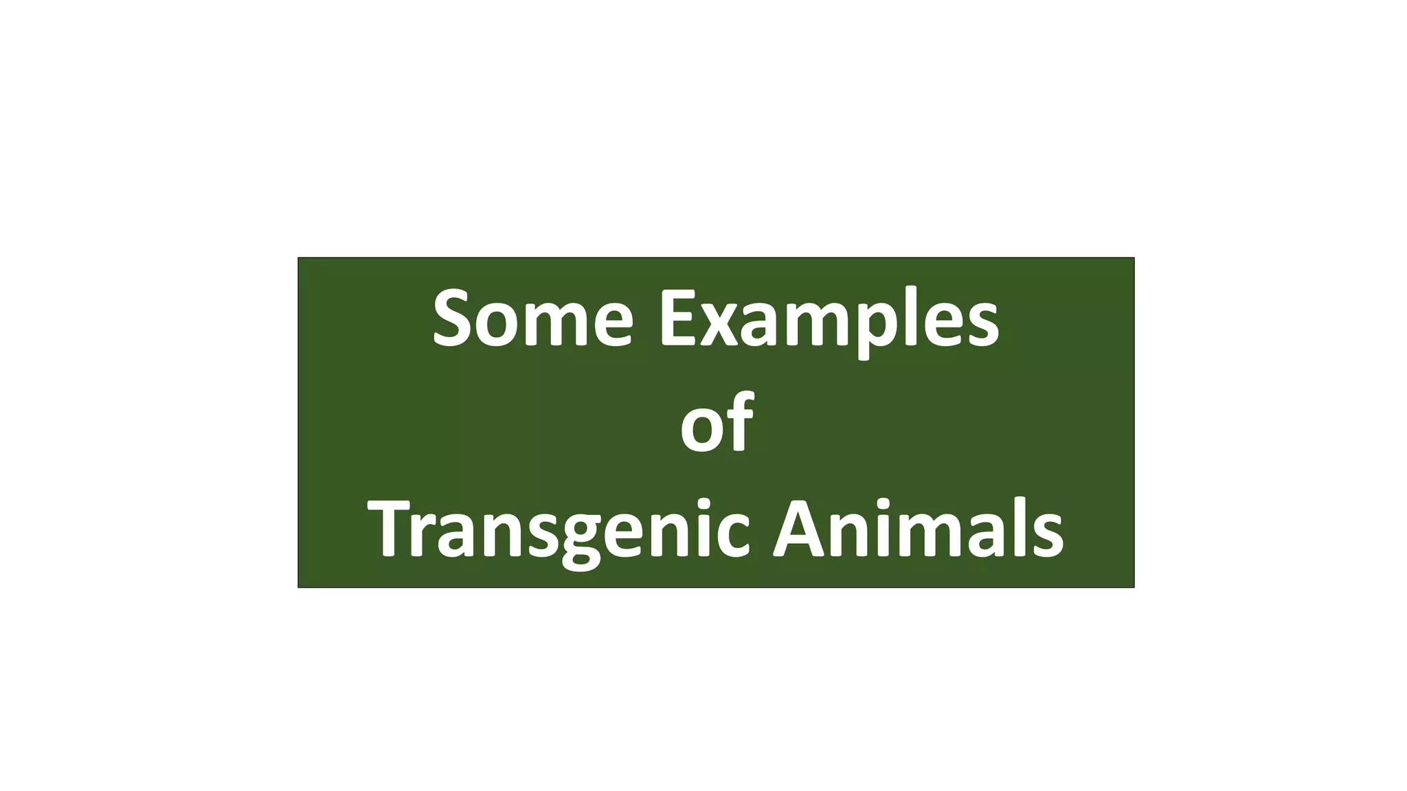 Transgenesis in animals | PPTX