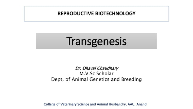 Transgenesis in animals | PPTX | Biological Sciences | Science