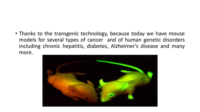 Transgenesis in animals | PPTX | Biological Sciences | Science