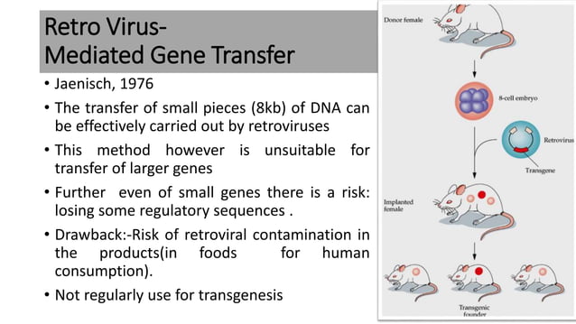 Transgenesis in animals | PPTX | Biological Sciences | Science